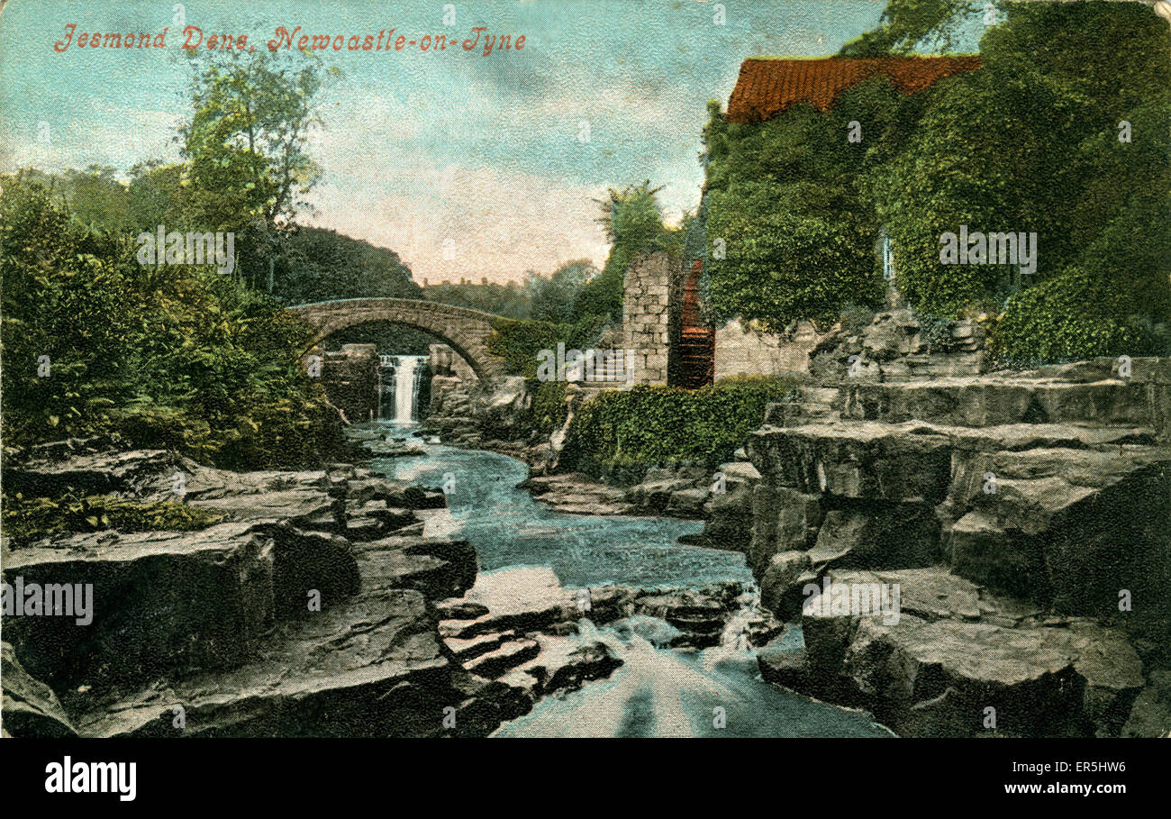 Jesmond Dene, Jesmond, Northumberland Stock Photo - Alamy