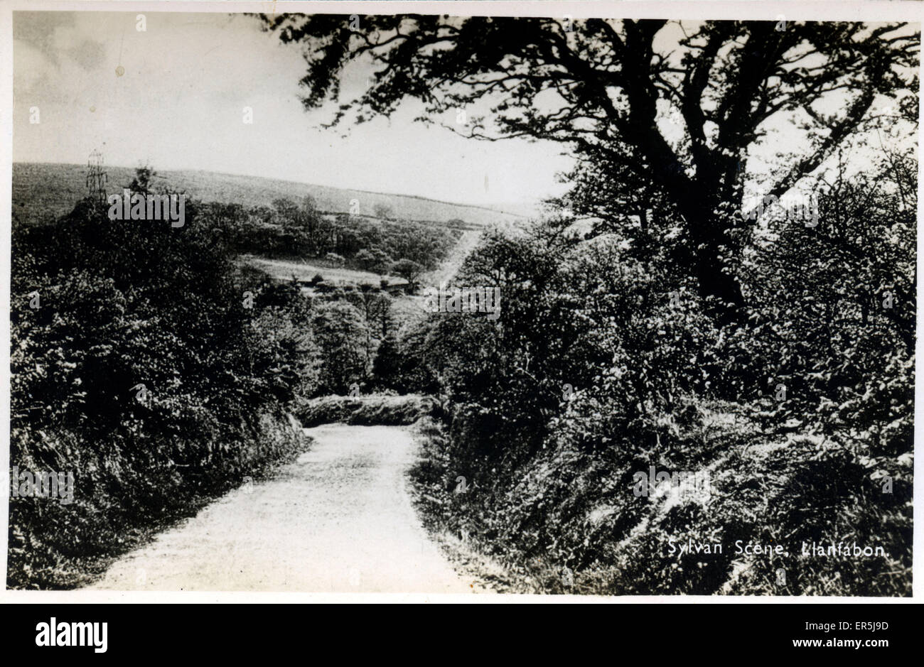 Treharris Wales High Resolution Stock Photography and Images - Alamy