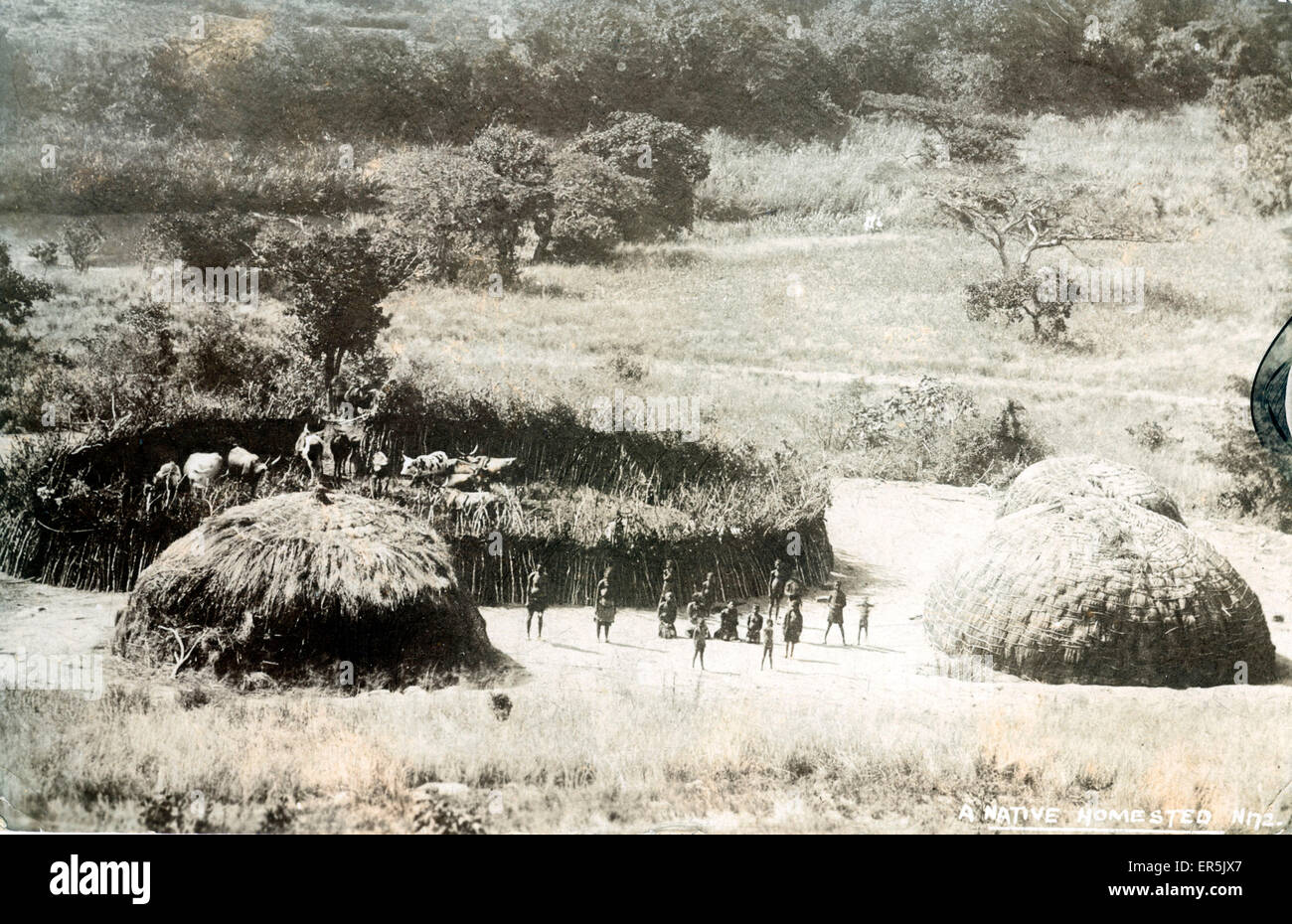South Africa - A Native Homestead Stock Photo - Alamy