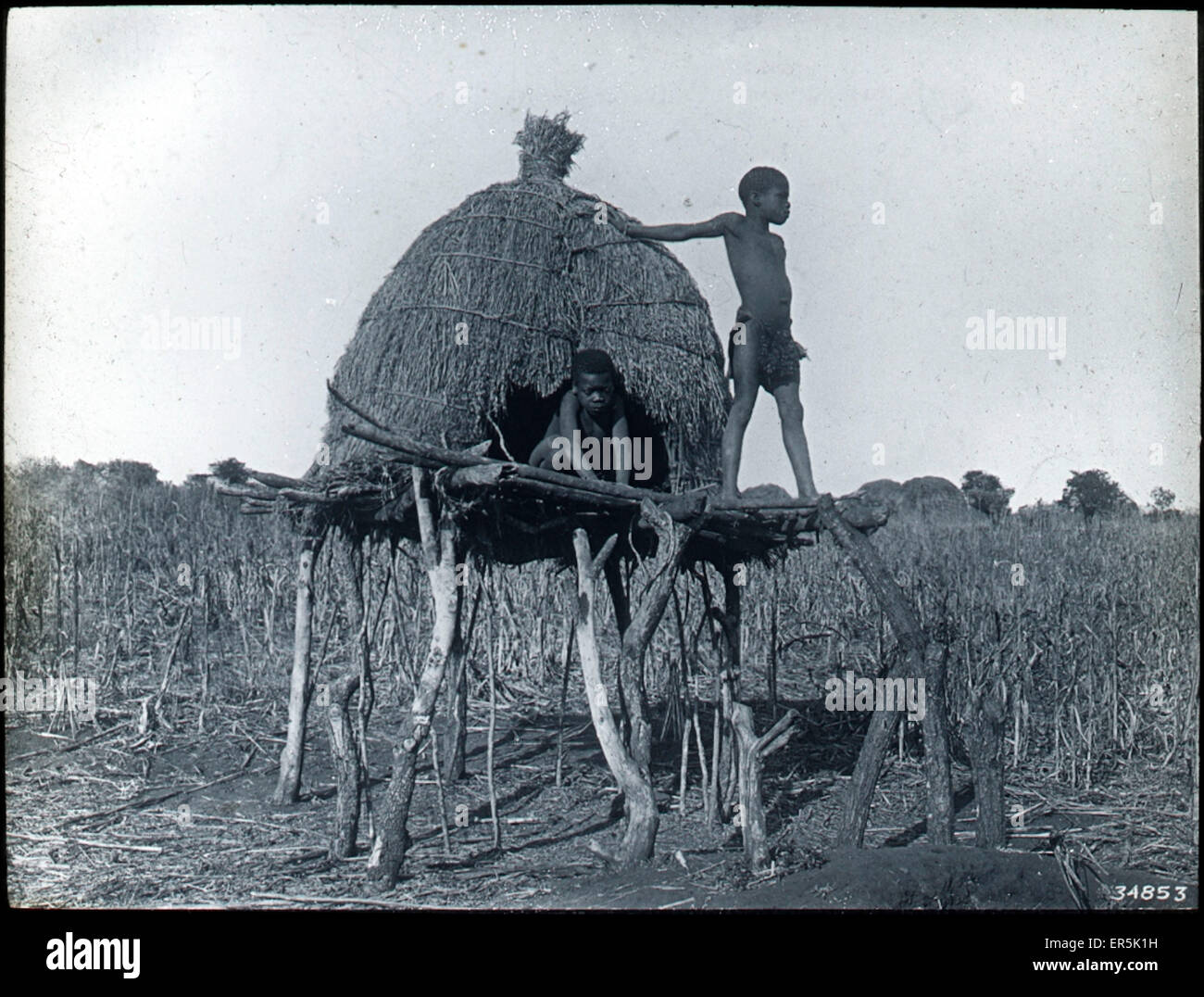 Grain south africa hi-res stock photography and images - Alamy