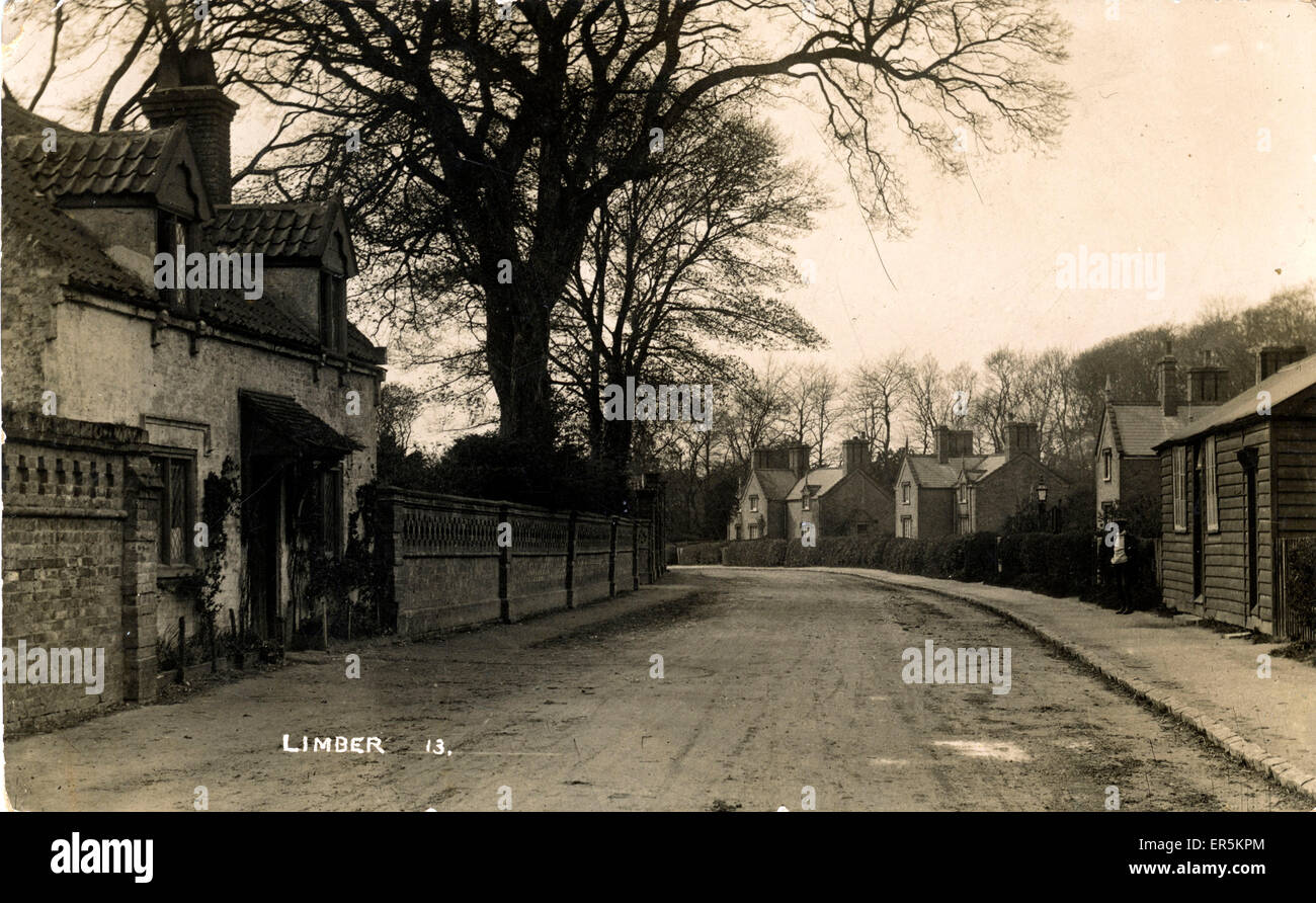 Great Limber High Resolution Stock Photography and Images - Alamy