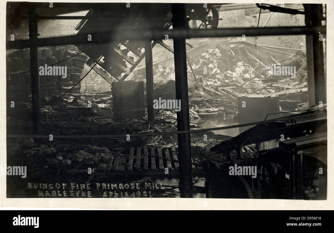 Harle syke hi-res stock photography and images - Alamy