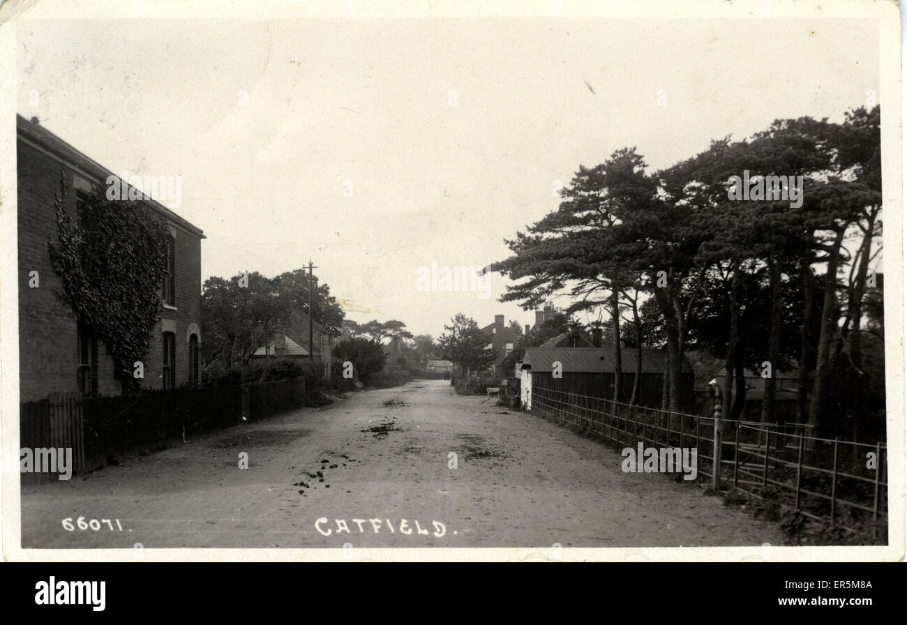 Catfield hi-res stock photography and images - Alamy