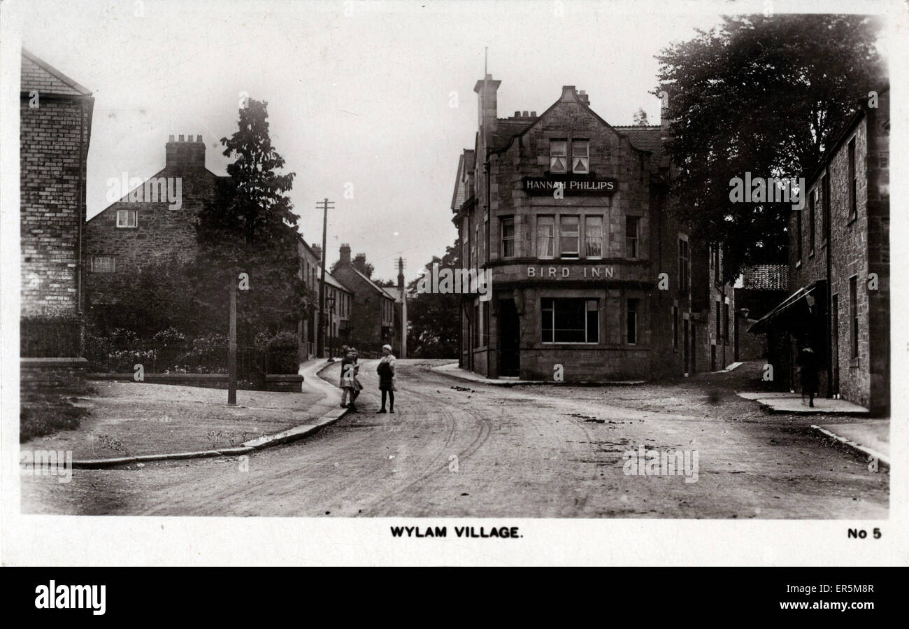 Wylam hi-res stock photography and images - Alamy