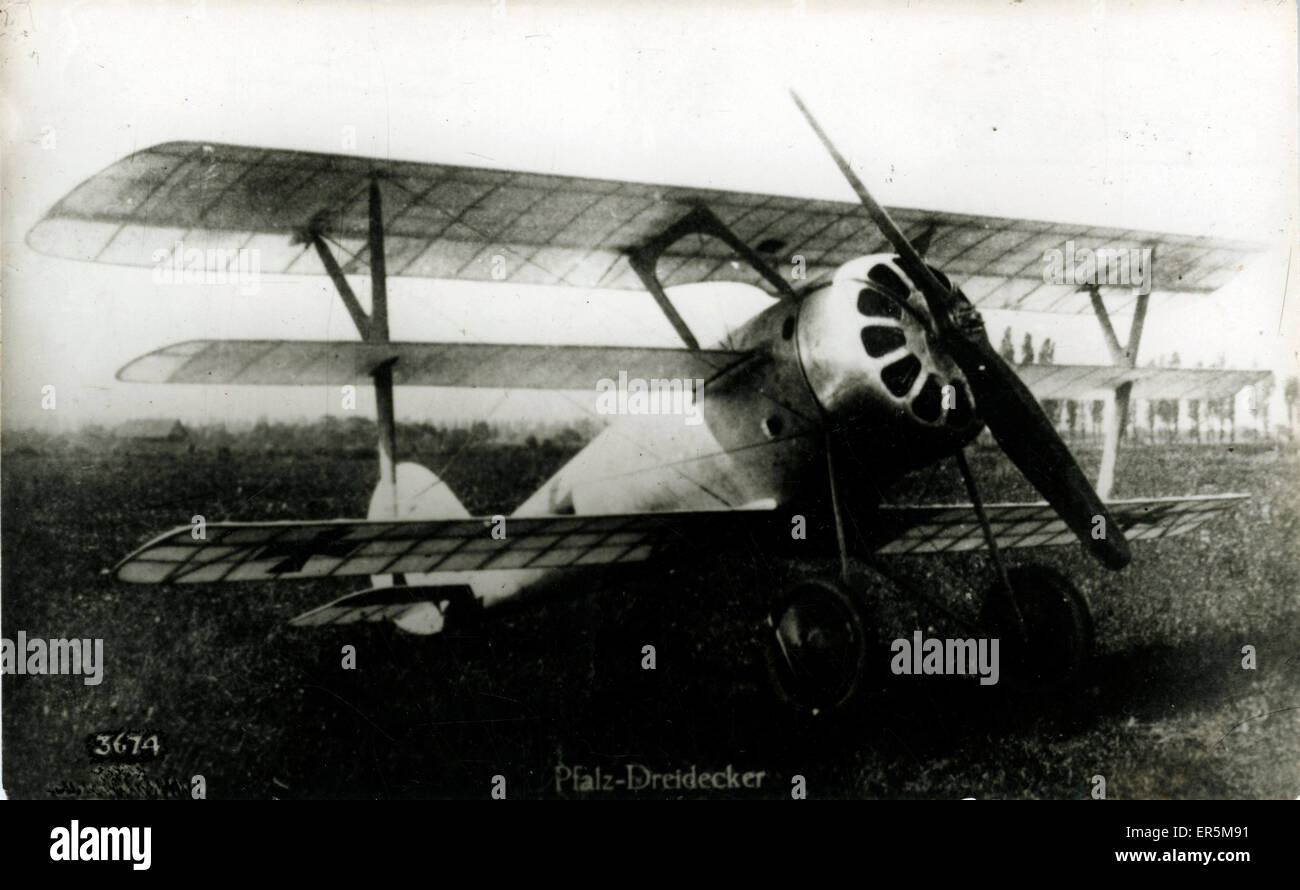Pfalz Dr1 Triplane