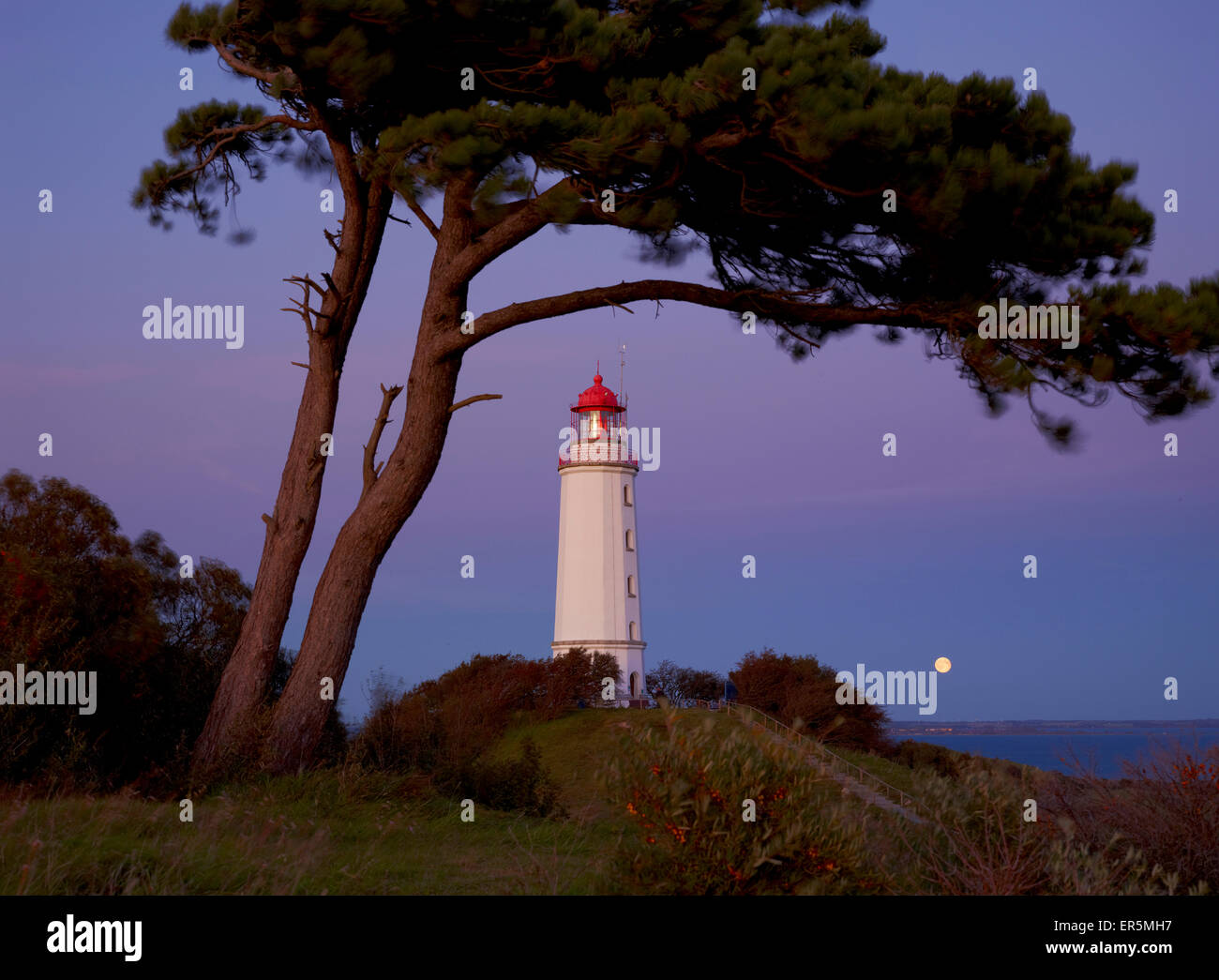 Hiddensee island hi-res stock photography and images - Alamy