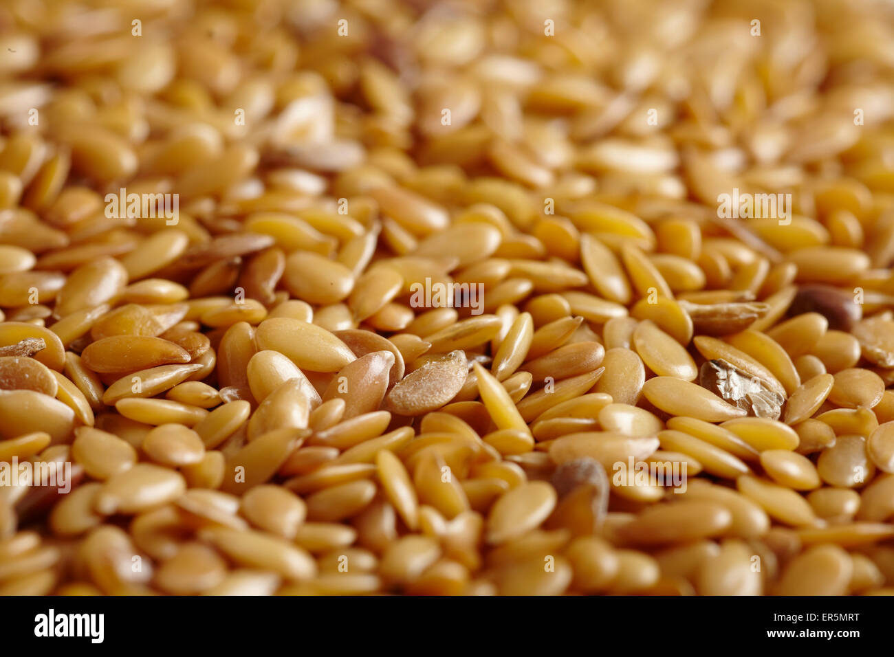 Linum seed hi-res stock photography and images - Alamy