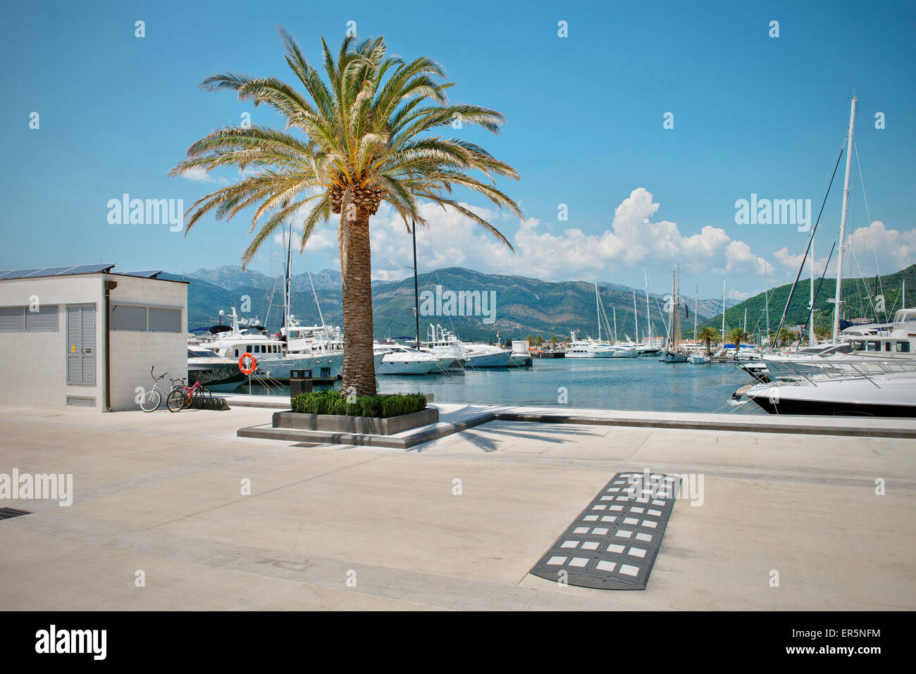 Port of Montenegro, new luxury Yacht Port, Tivat, Bay of Kotor ...