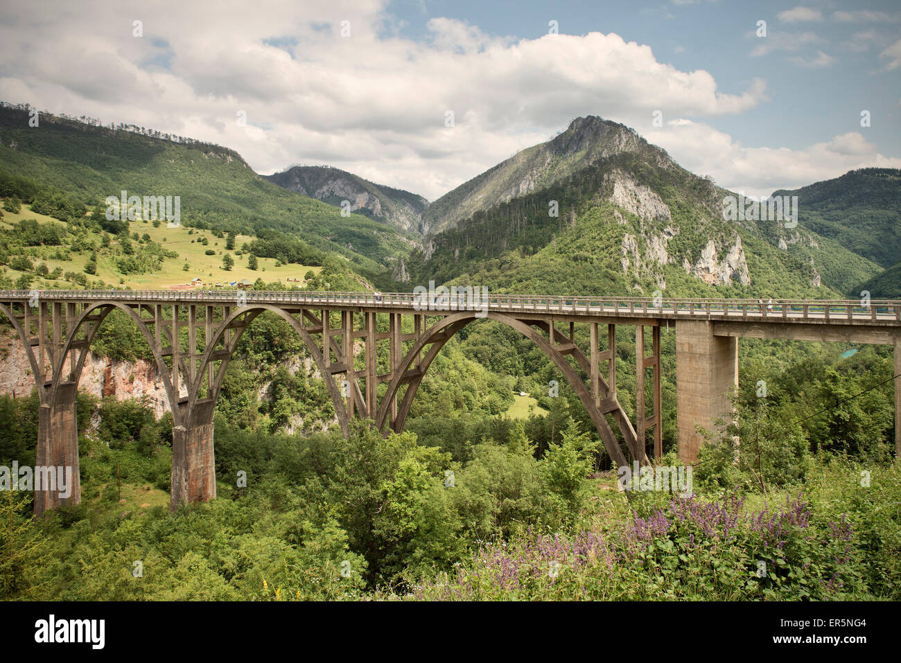 Tara river hi-res stock photography and images - Alamy