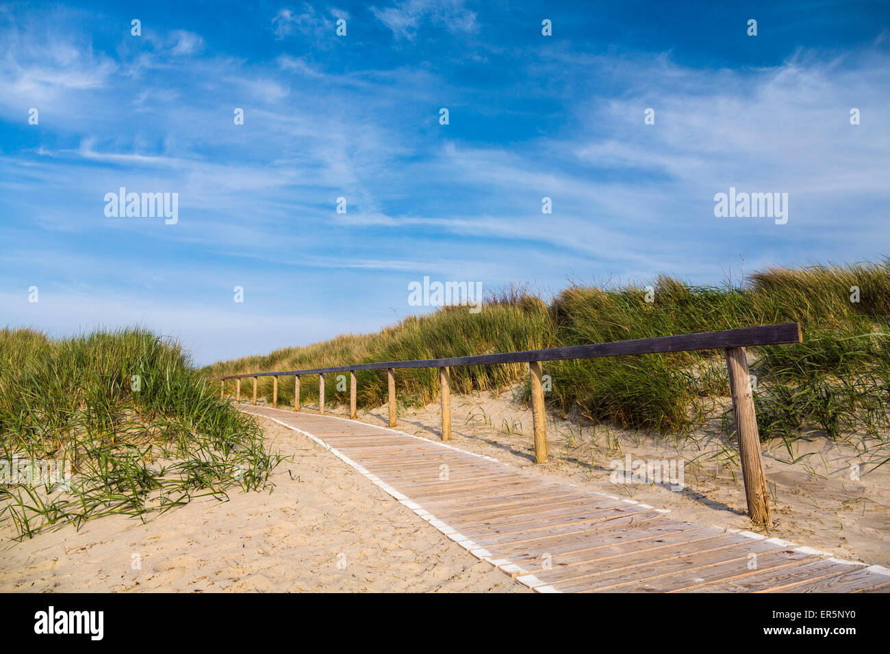 Boardwalk in the dunes to the beach, Langeoog Island, North Sea, East ...