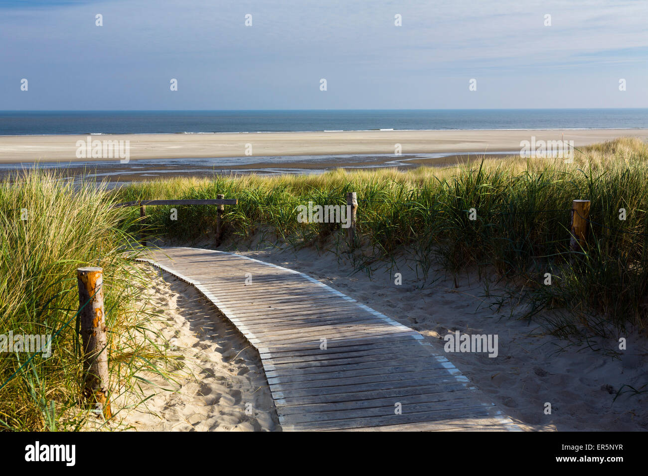 Boardwalk in the dunes to the beach, Langeoog Island, North Sea, East ...