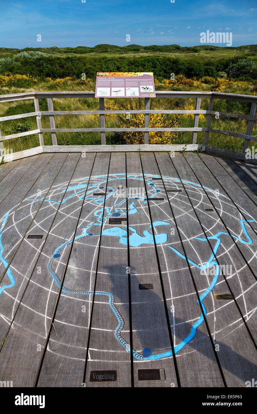 Otto Leege nature trail, bird migration map, Juist Island, Nationalpark ...