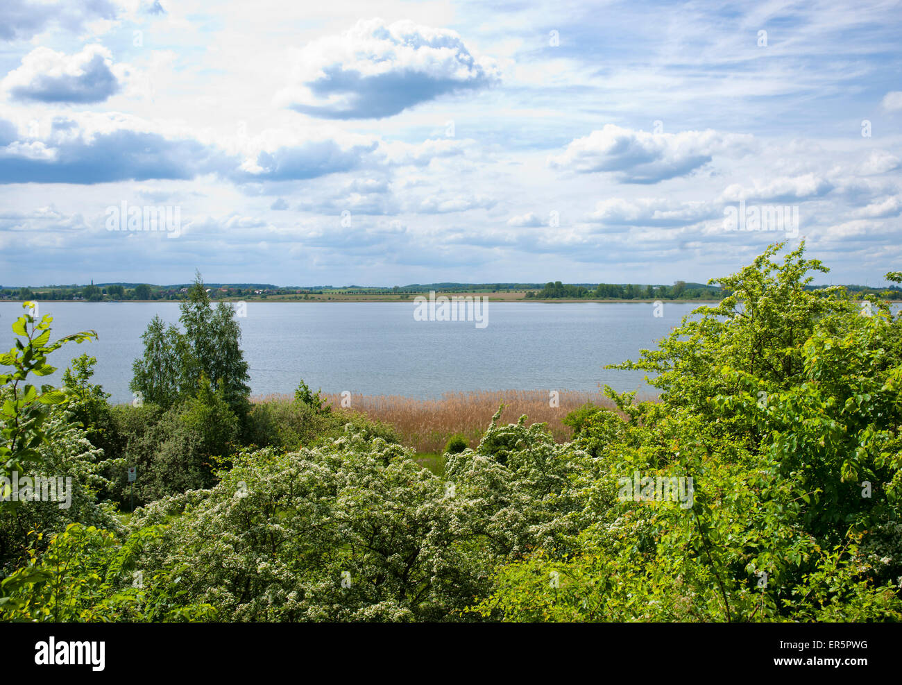 Prenzlau hi-res stock photography and images - Alamy