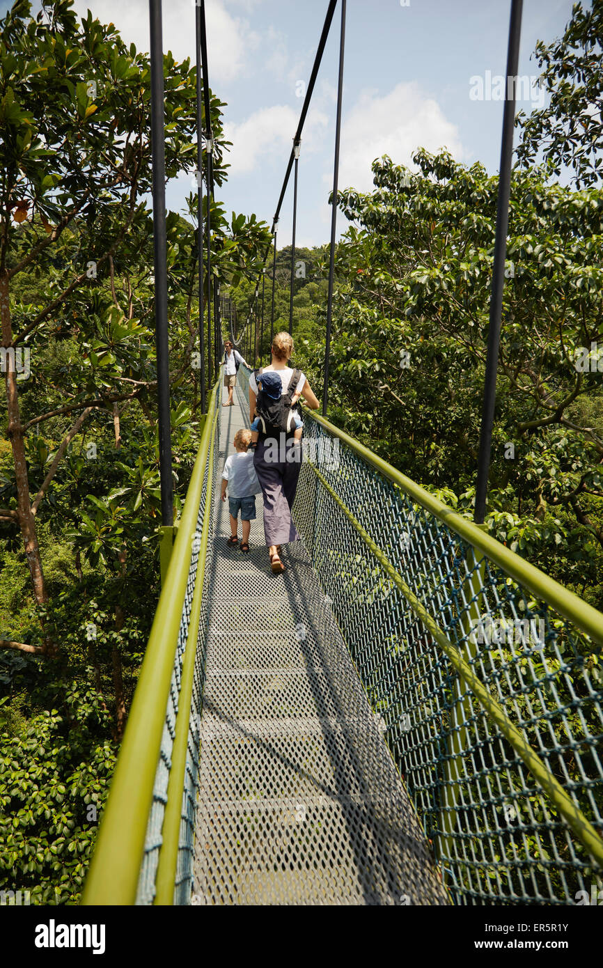 Family walking along a HSBC Tree Top Walk, MacRitchie Reservat ...