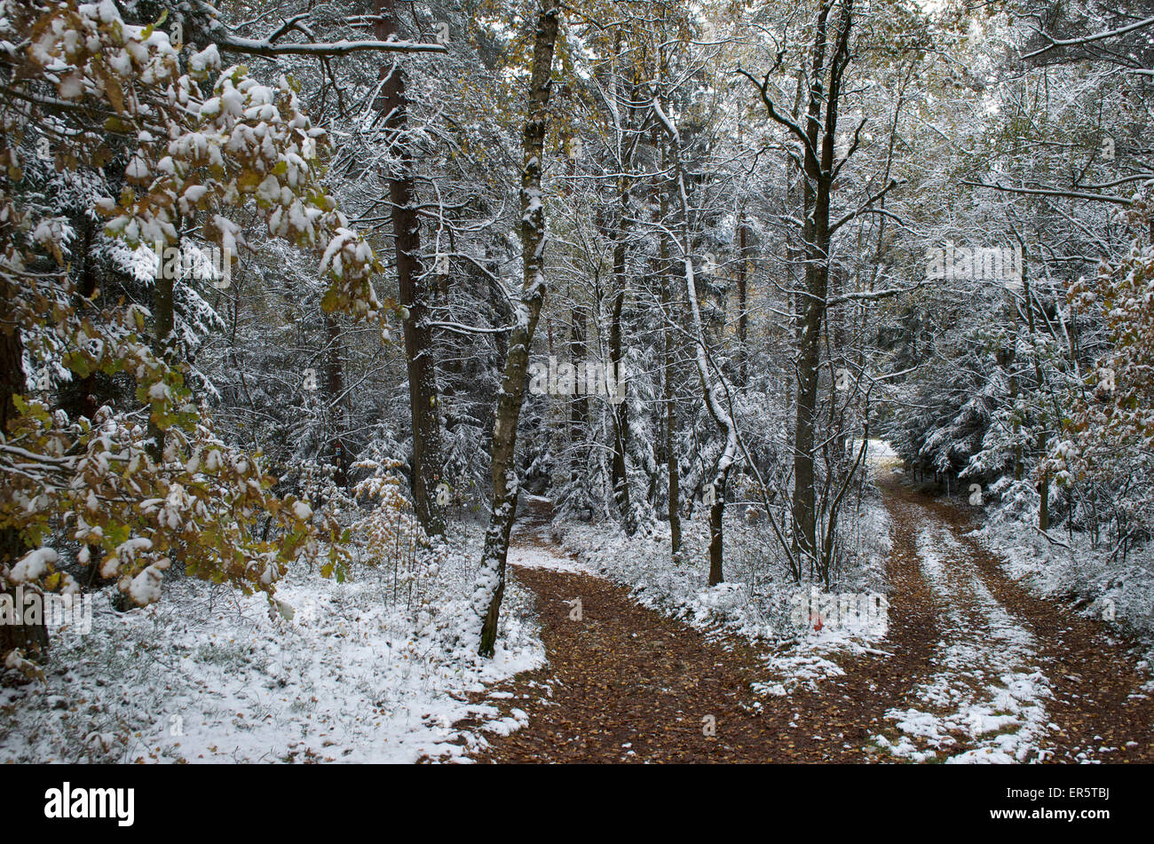 Grosser pfahl hi-res stock photography and images - Alamy