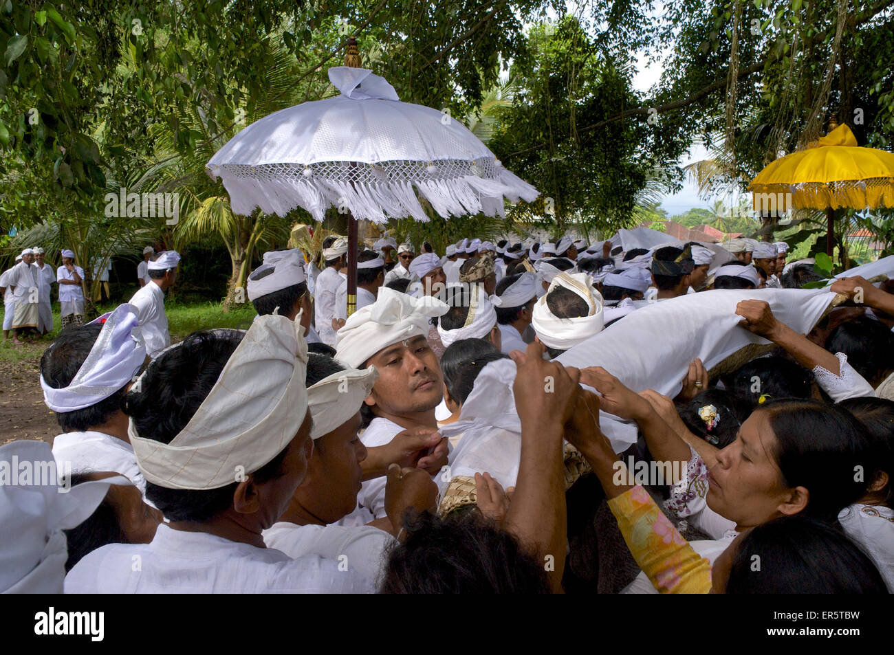 Balinese people carrying a symbolic corpse around a huge Banyan tree ...