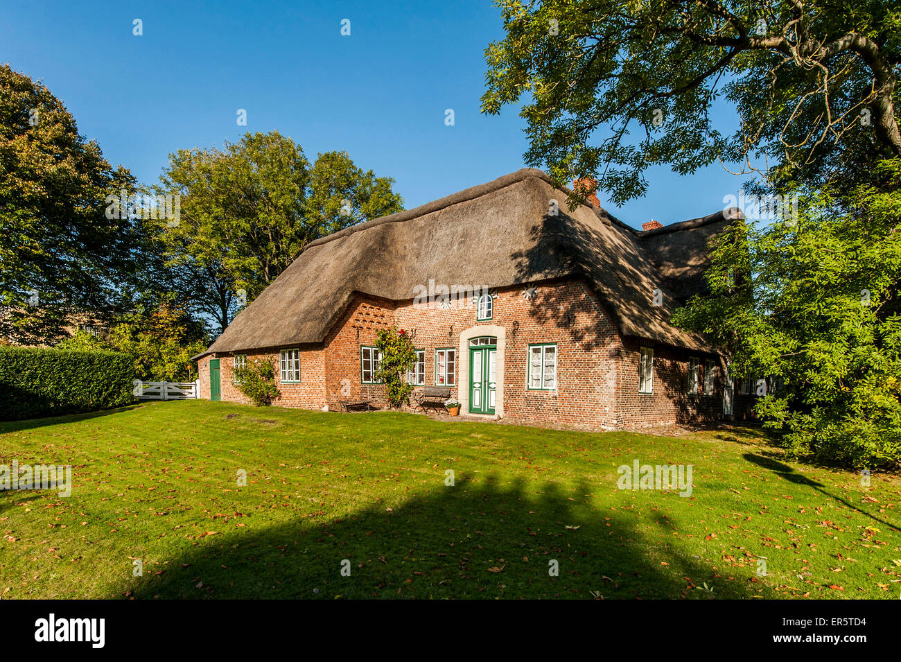 Frisian house with thatched roof, Keitum, Sylt, Schleswig-Holstein ...