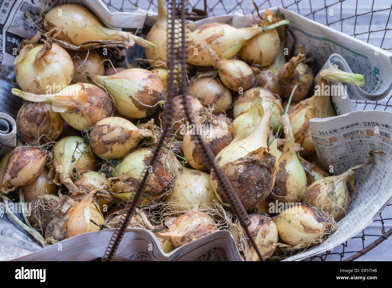 A wire basket full of onions on a Japanese newspaper Stock Photo - Alamy