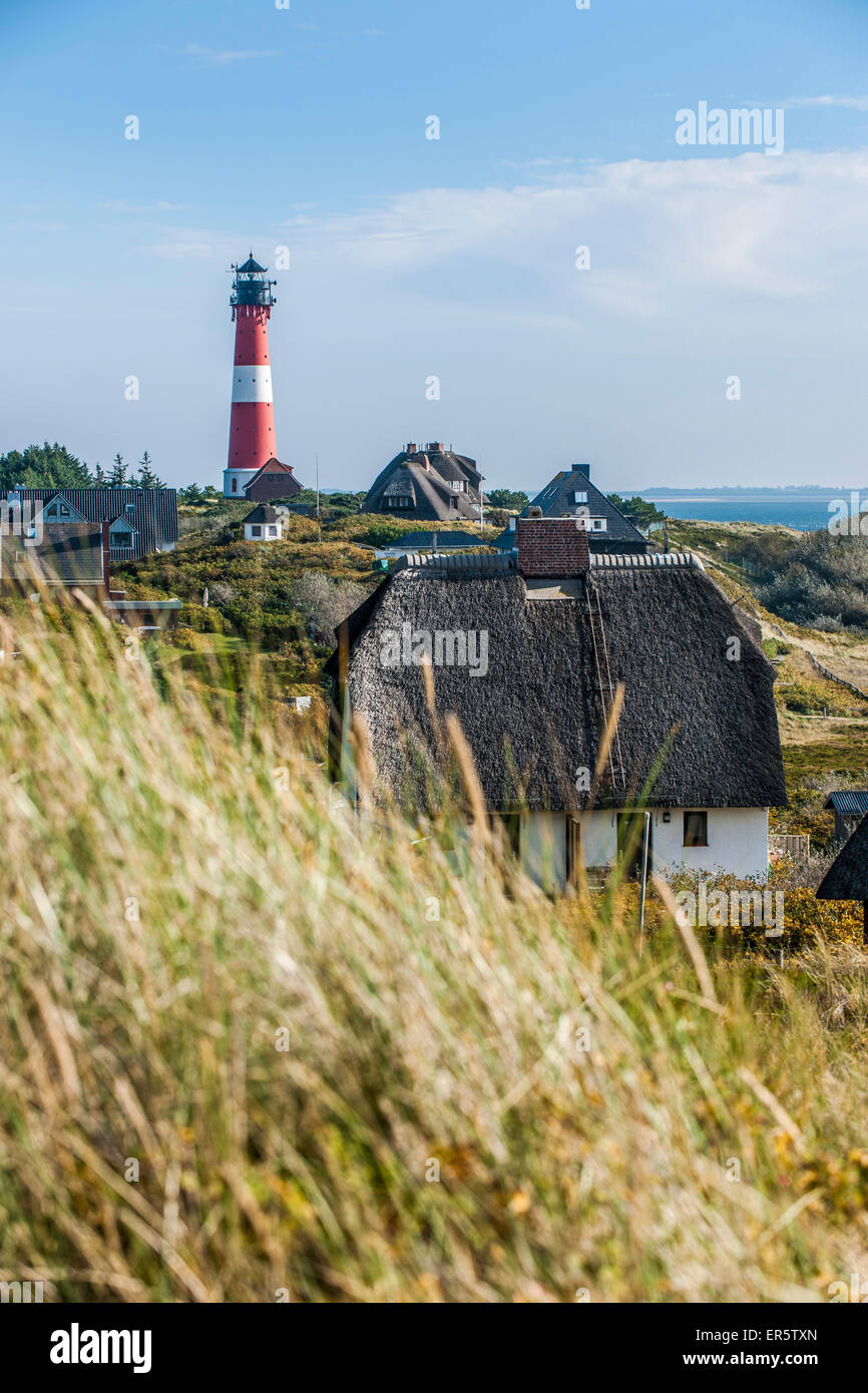 Lighthouse and thatched-roof houses in the dunes, Hoernum, Sylt ...