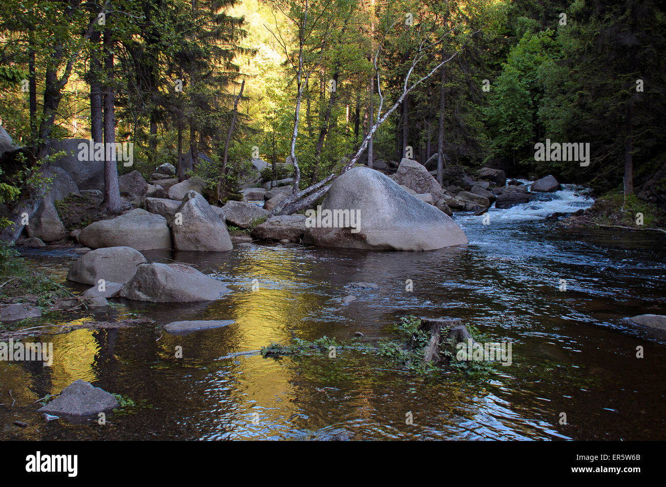 River oker oker valley harz hi-res stock photography and images - Alamy