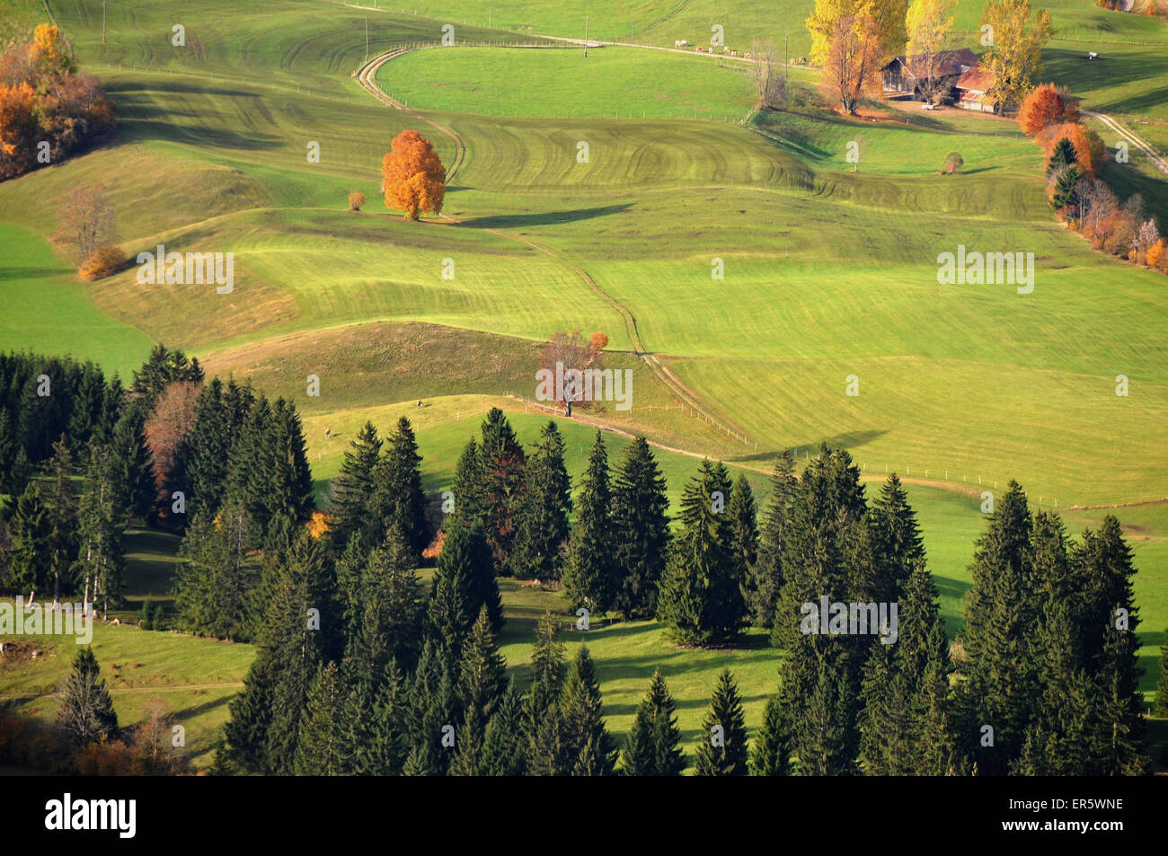 Ostallgaeu hi-res stock photography and images - Alamy