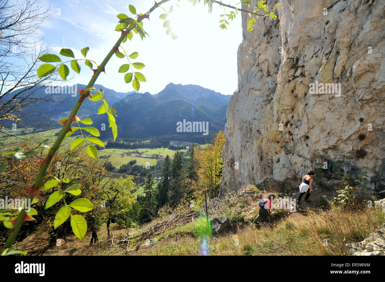 Falkenstein bavaria hi-res stock photography and images - Alamy