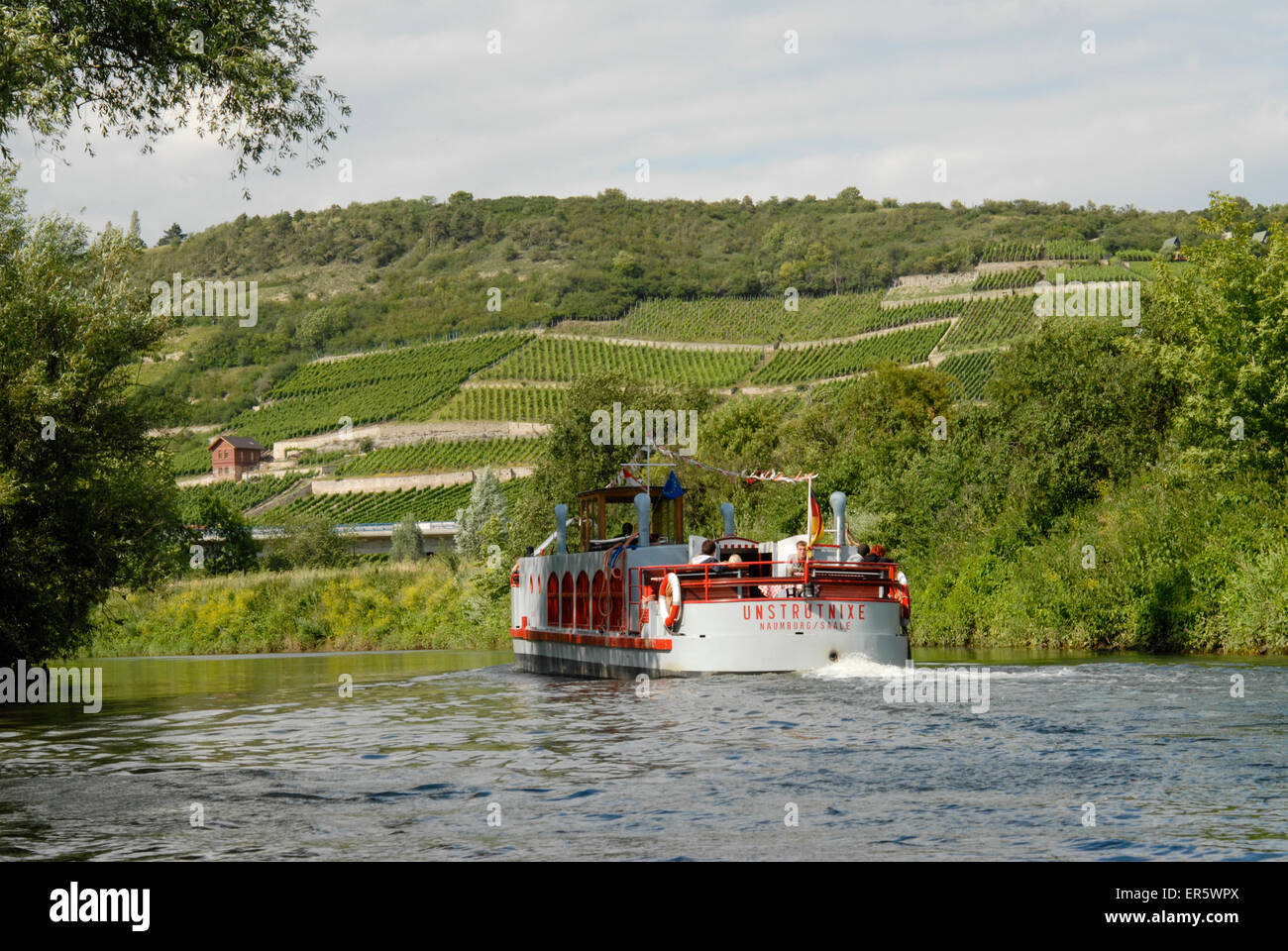 Steamer on the Unstrut river, vineyards in background, Naumburg, Saxony ...