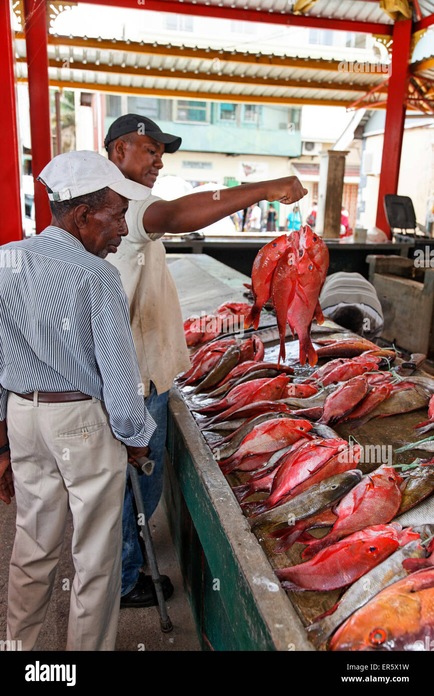 Victoria Fish Market, Mahe Island Seychelles, Indian Ocean Stock Photo ...