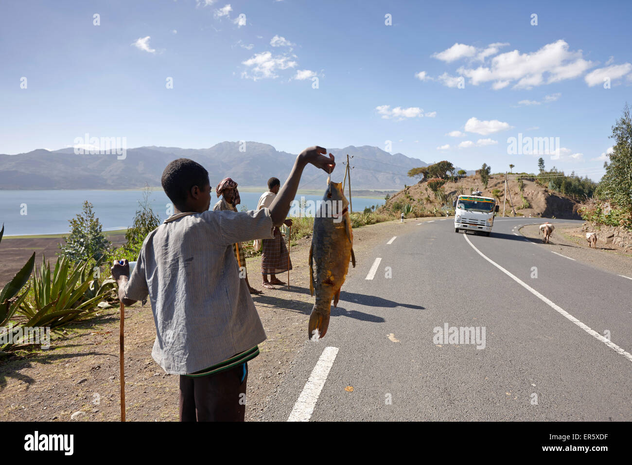 Boy selling fish at Ashange Hayk, near Maychew, Tigray region, Ethiopia ...