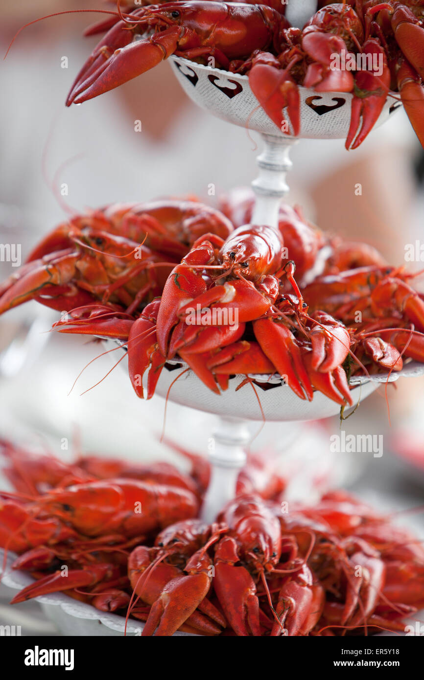 Crayfish Party High Resolution Stock Photography and Images - Alamy