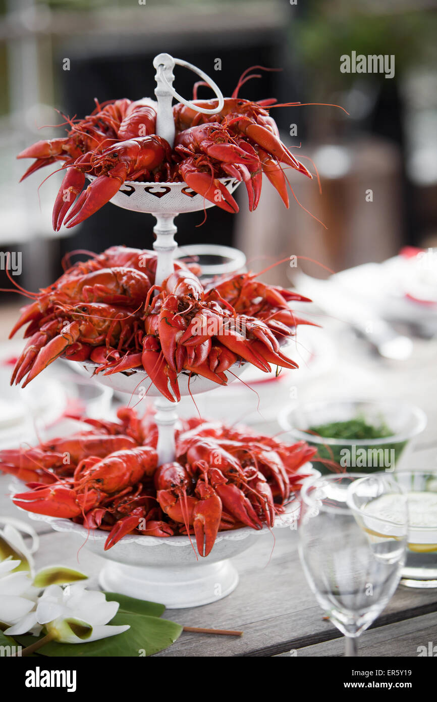 Crayfish High Resolution Stock Photography and Images - Alamy