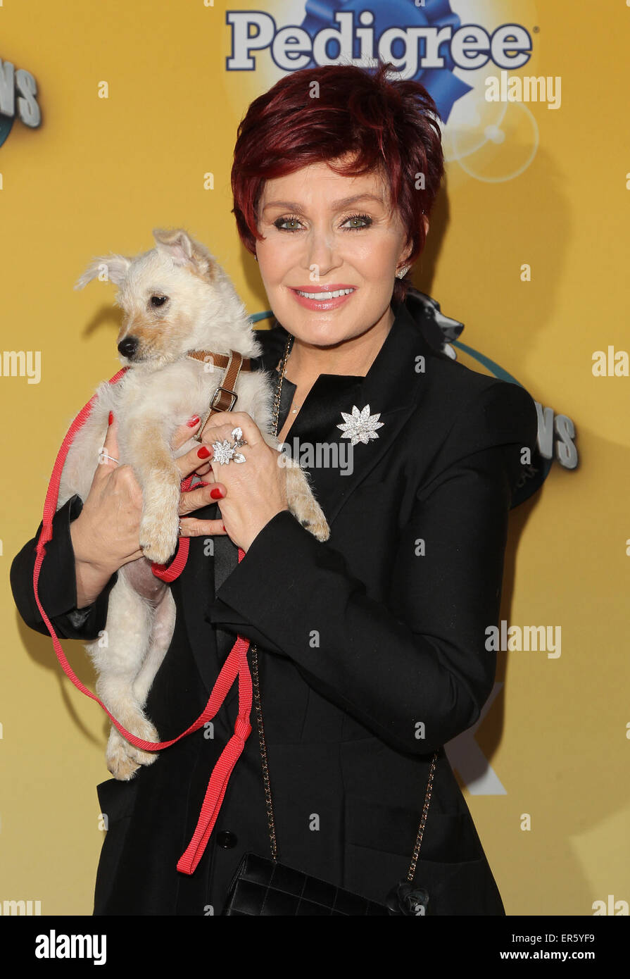 FOX’S CAUSE FOR PAWS: AN ALL-STAR DOG SPECTACULAR Featuring: Sharon ...