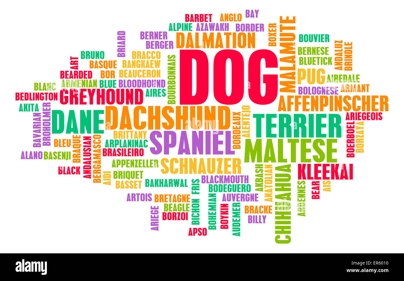 All Types of Dogs and Every Breed as Concept Stock Photo - Alamy
