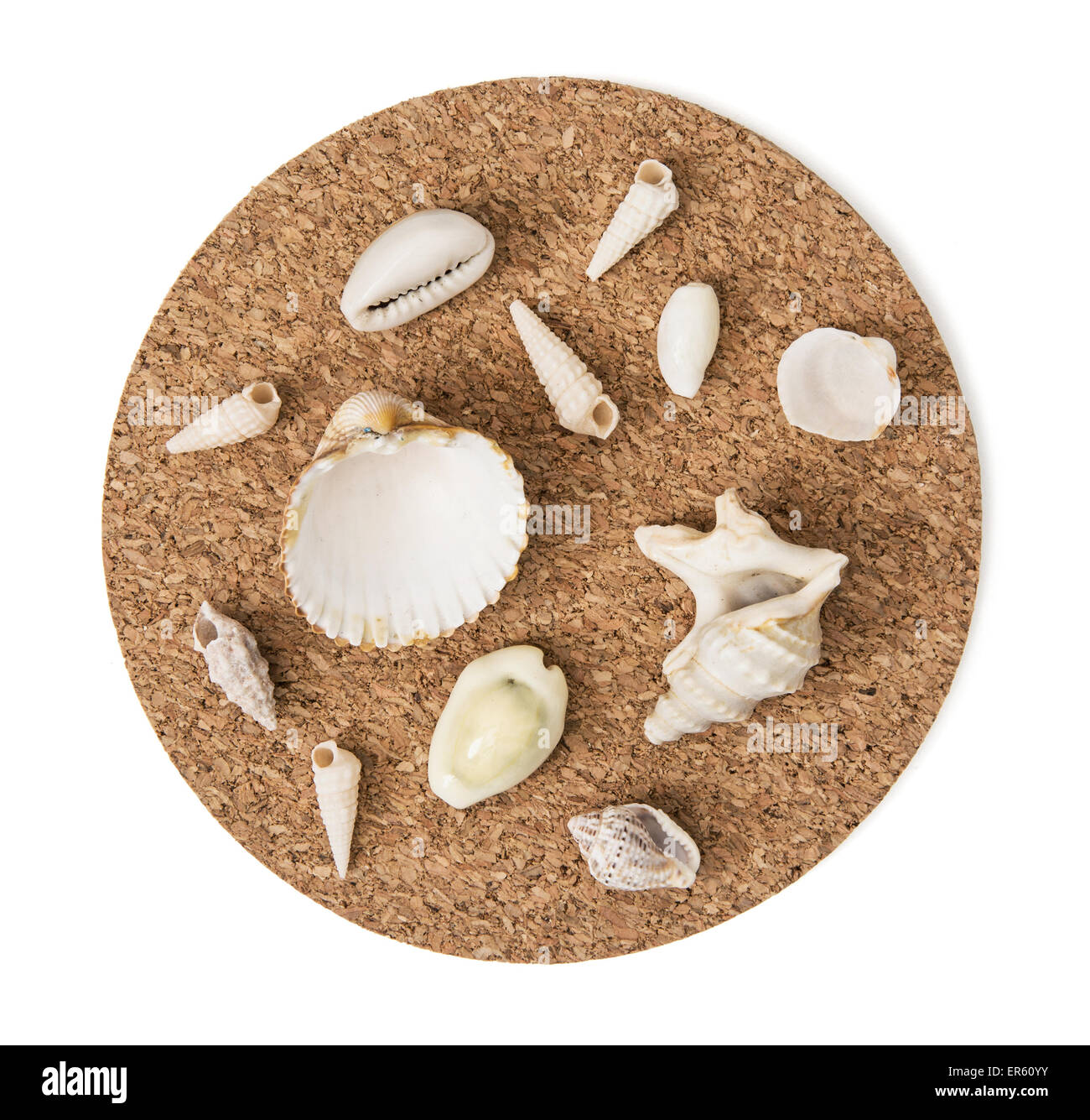 Various sea shells on the circular cork base. Isolated Stock Photo - Alamy