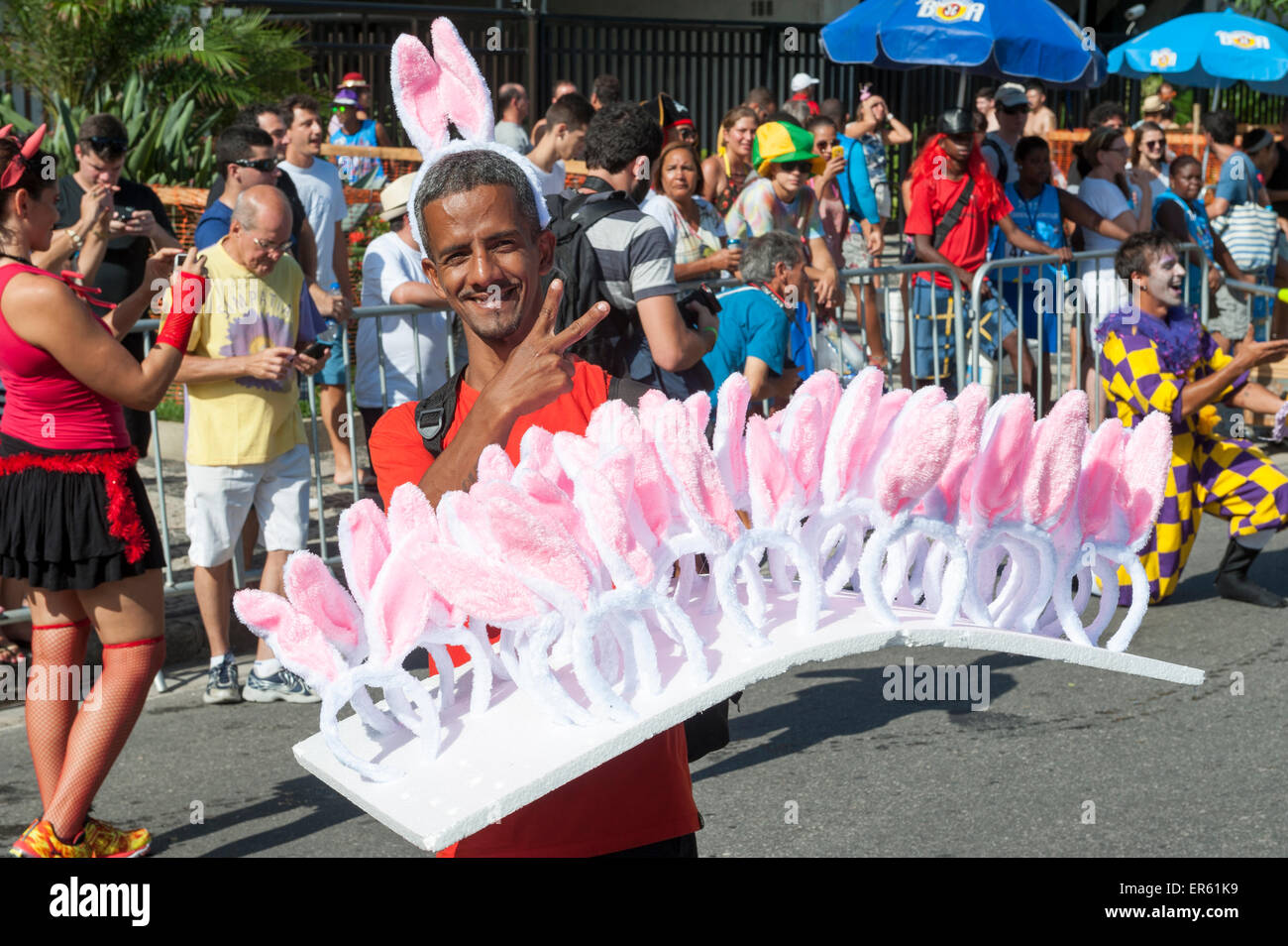 Brazilian rabbit hi-res stock photography and images - Alamy