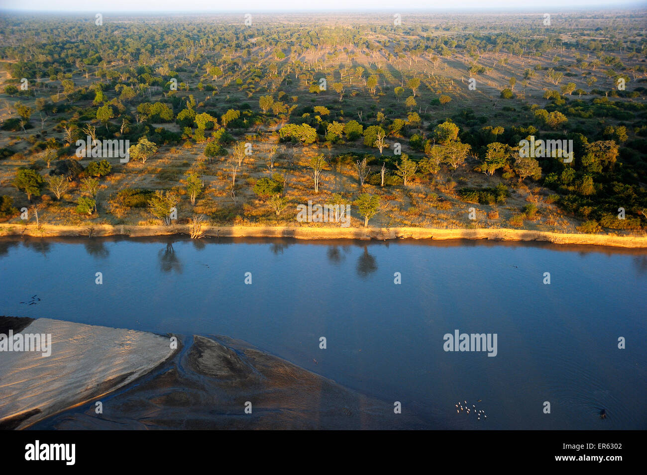 Luangwa River High Resolution Stock Photography and Images - Alamy