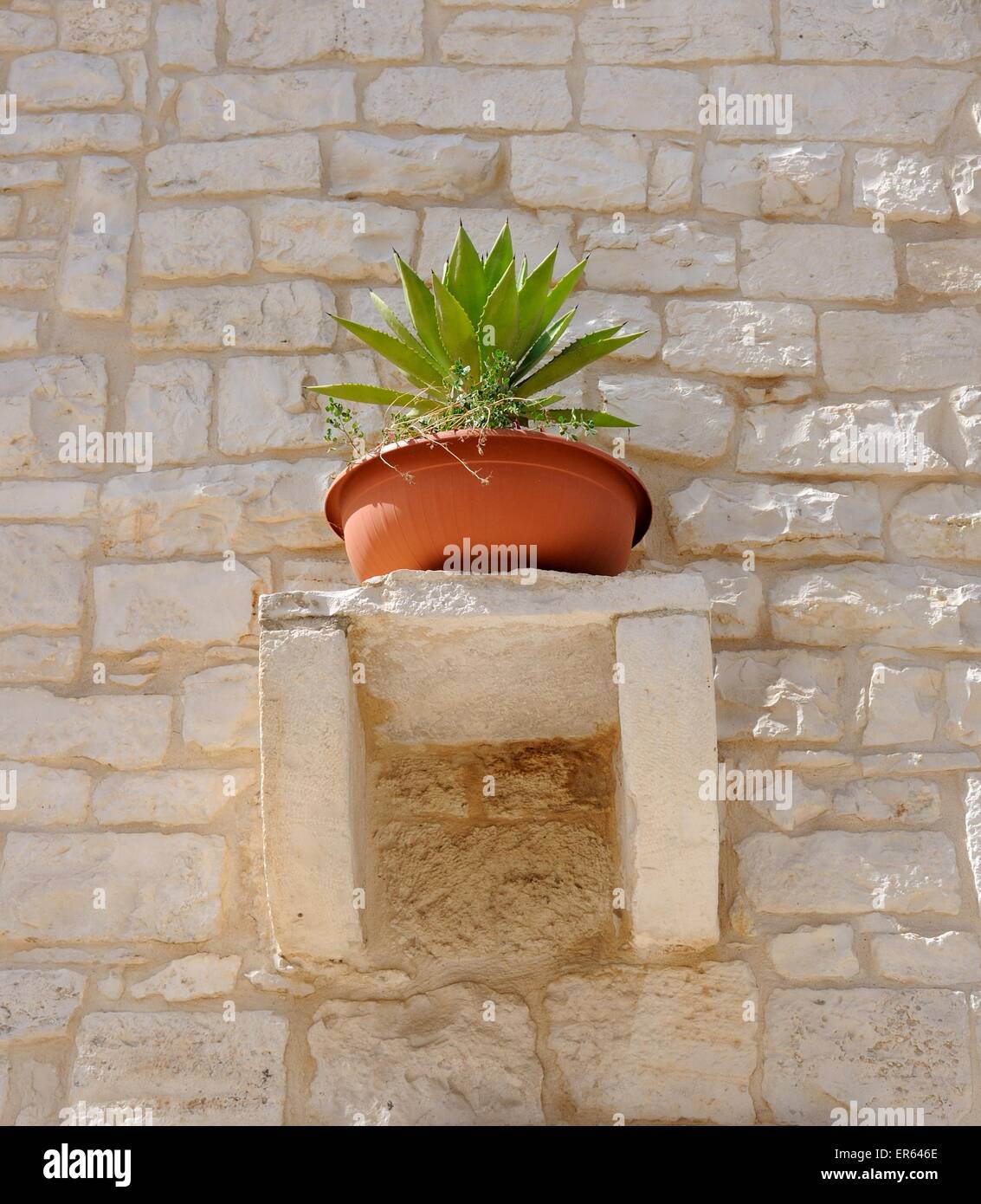 pot plant decorated with a stone wall Stock Photo - Alamy
