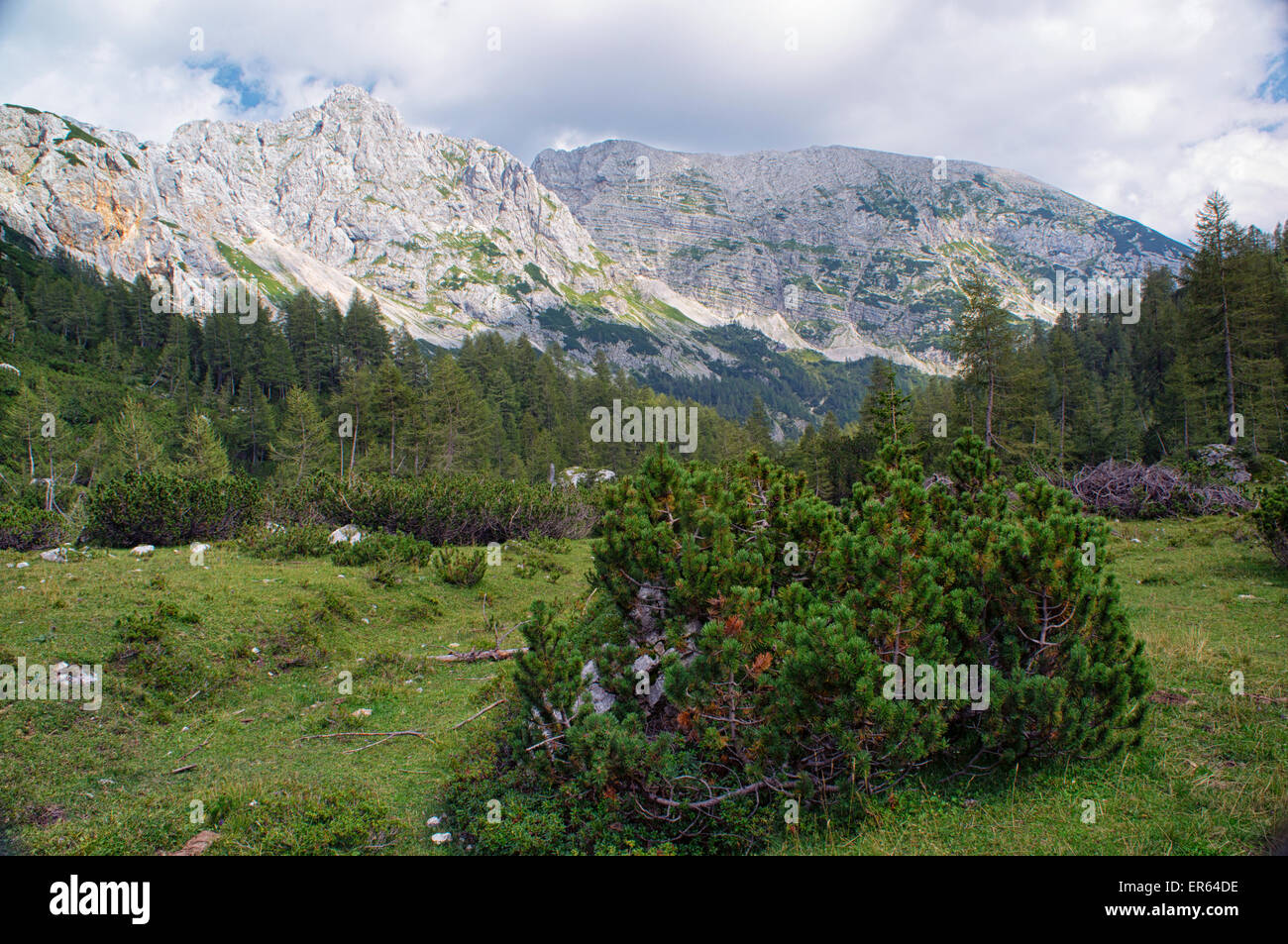 Vodnik hi-res stock photography and images - Alamy