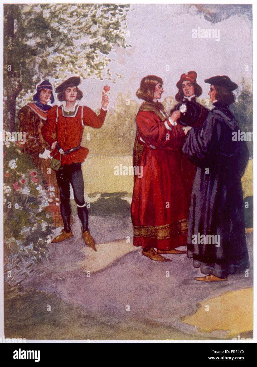 Picking of the red and white roses hi-res stock photography and images ...