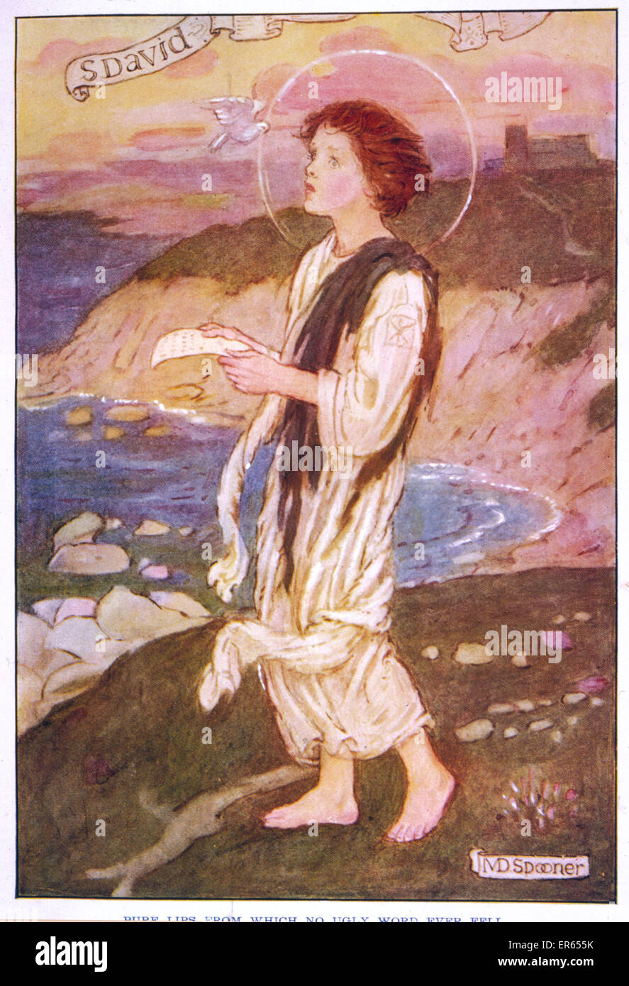 Saint david and wales hi-res stock photography and images - Alamy