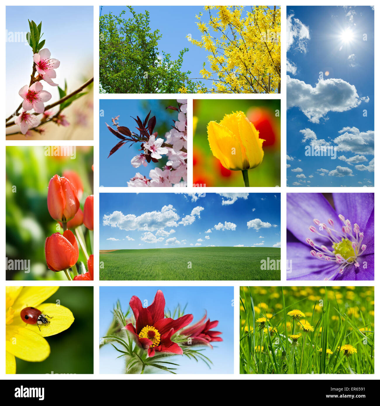 Spring collage representing various season-related flowers and scenics ...