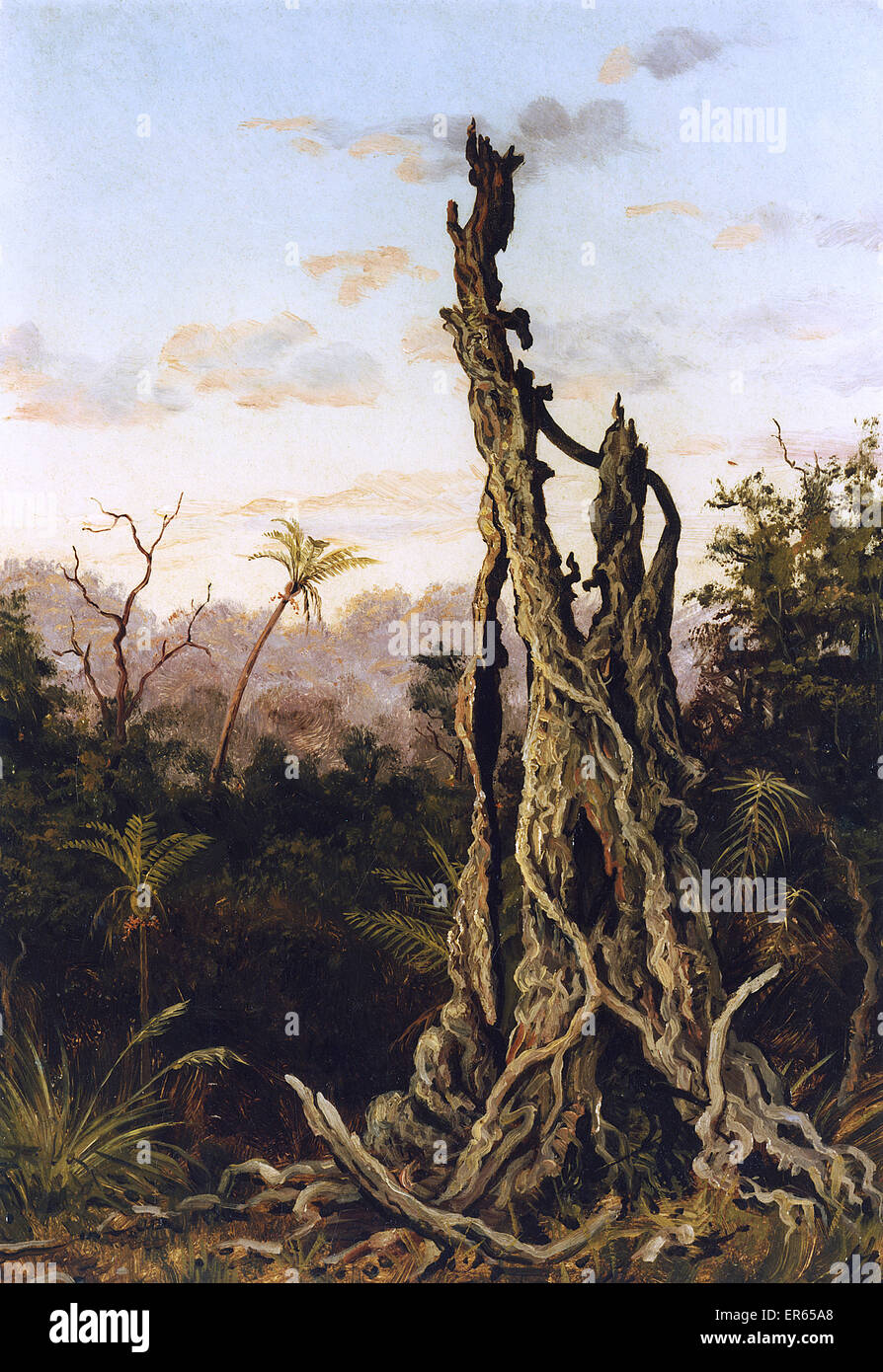 Australian Landscape, Charles E Gordon Frazer Stock Photo - Alamy