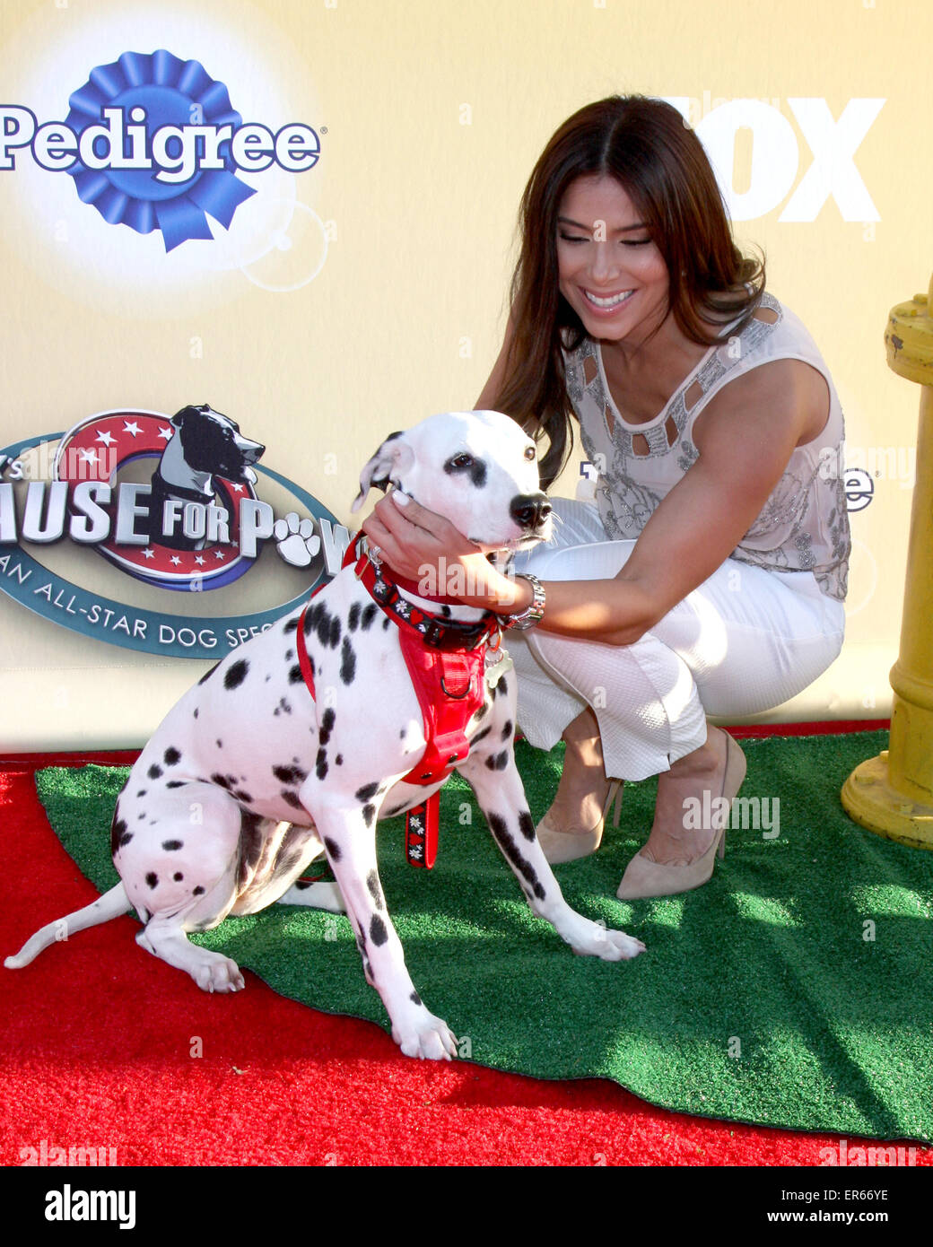 PAWS for Cause FOX TV Special Taping Featuring: Roselyn Sanchez Where ...