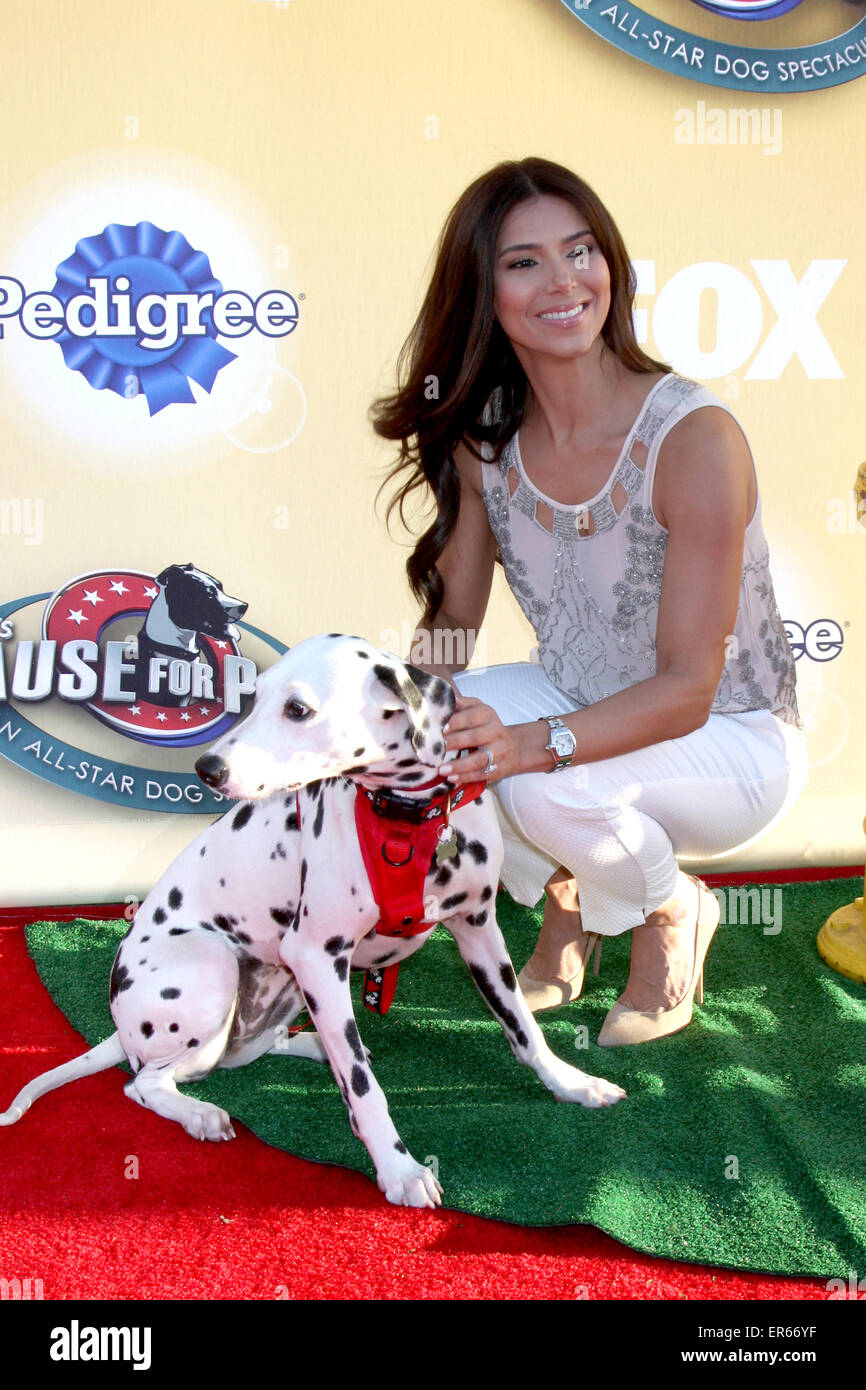PAWS for Cause FOX TV Special Taping Featuring: Roselyn Sanchez Where ...