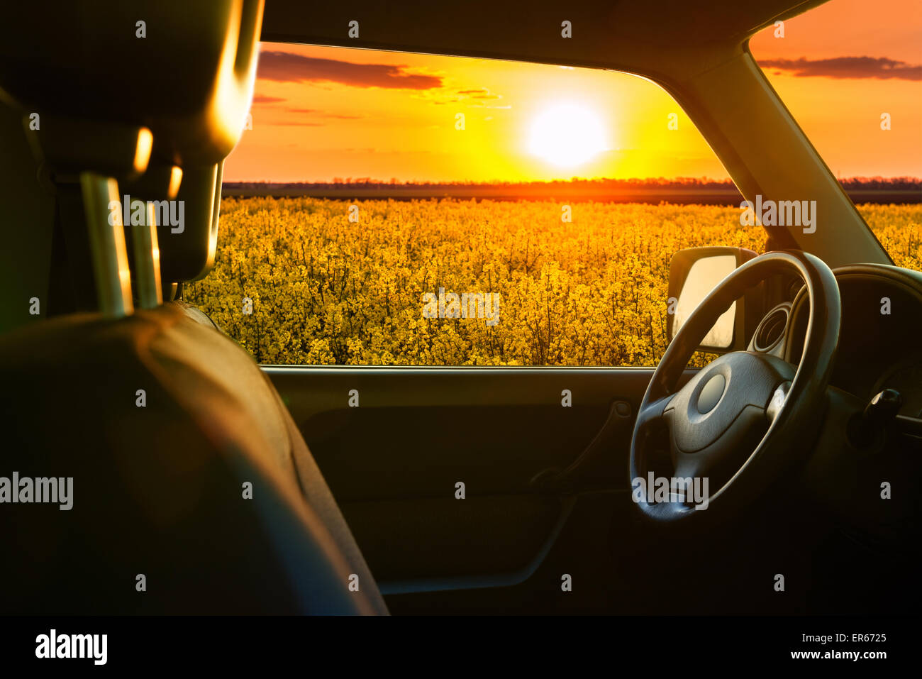 Spring view from car window hi-res stock photography and images - Alamy