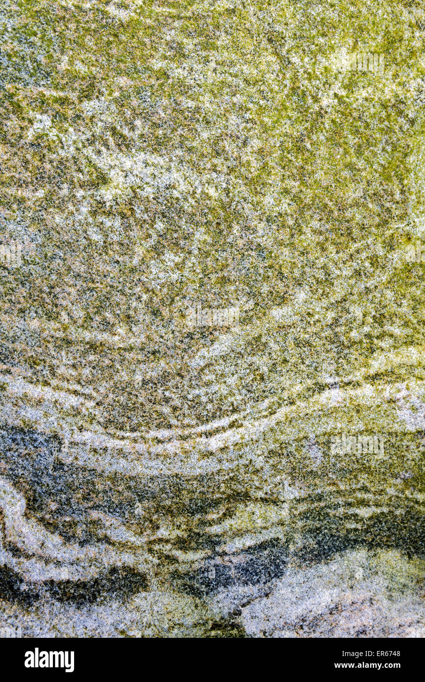 Textured pattern of fungi on weathered rocks Stock Photo - Alamy