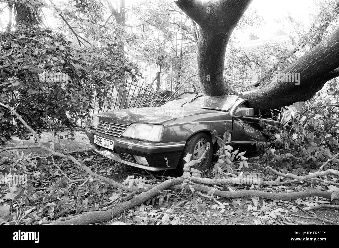 The great storm 1987 uk Black and White Stock Photos & Images - Alamy