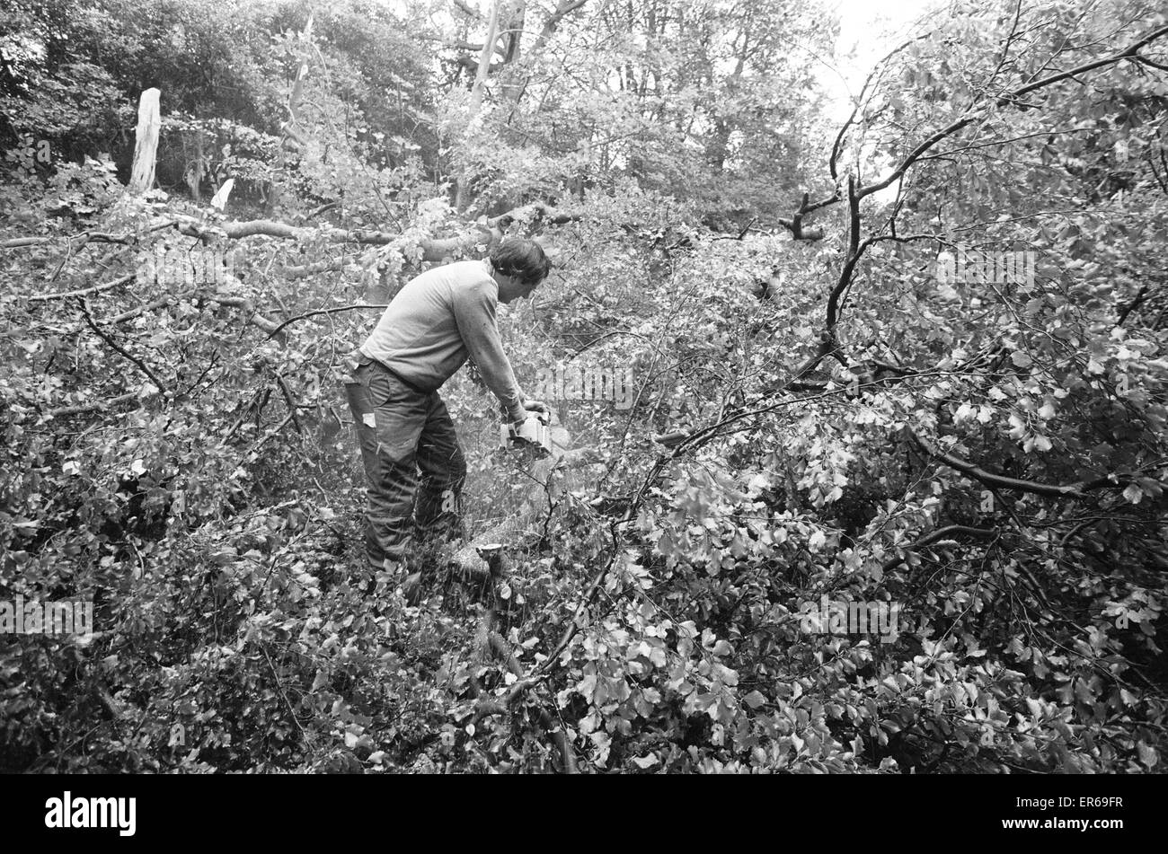 The 1987 Great Storm occurred on the night of 15 - 16th October 1987 ...