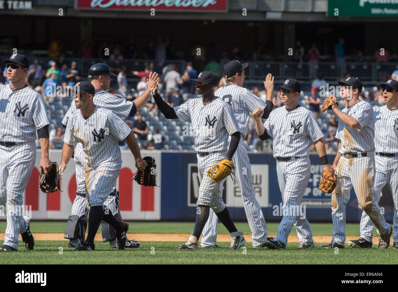 New york yankees players celebrate hi-res stock photography and images ...