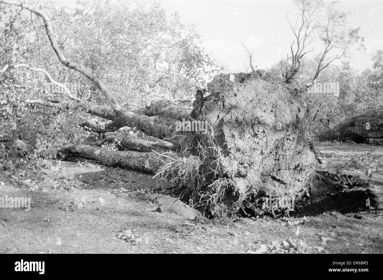 The 1987 Great Storm occurred on the night of 15 - 16th October 1987 ...